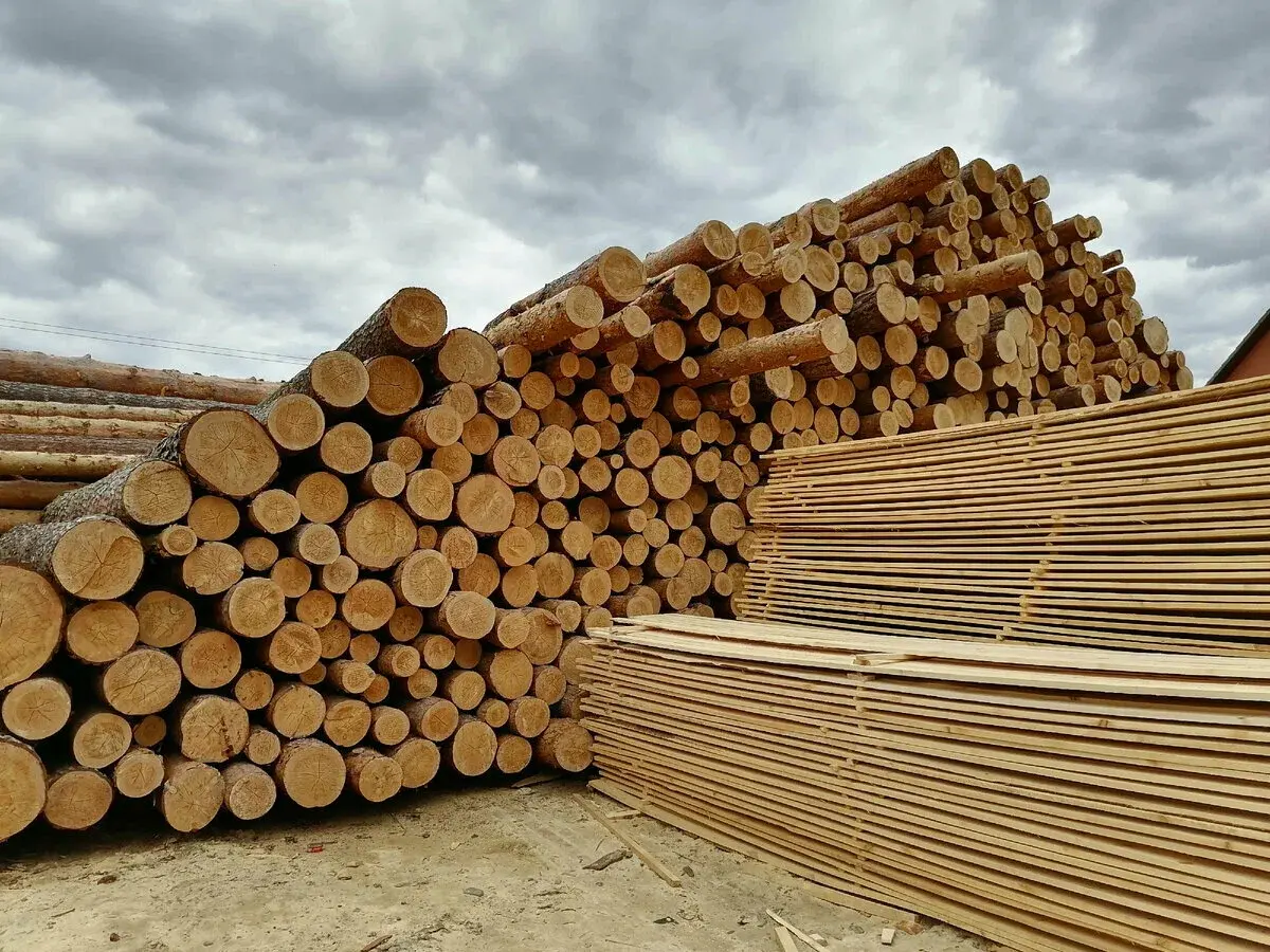Lumber Logistics Estimating Services | Lumber Logistics Estimating Company
